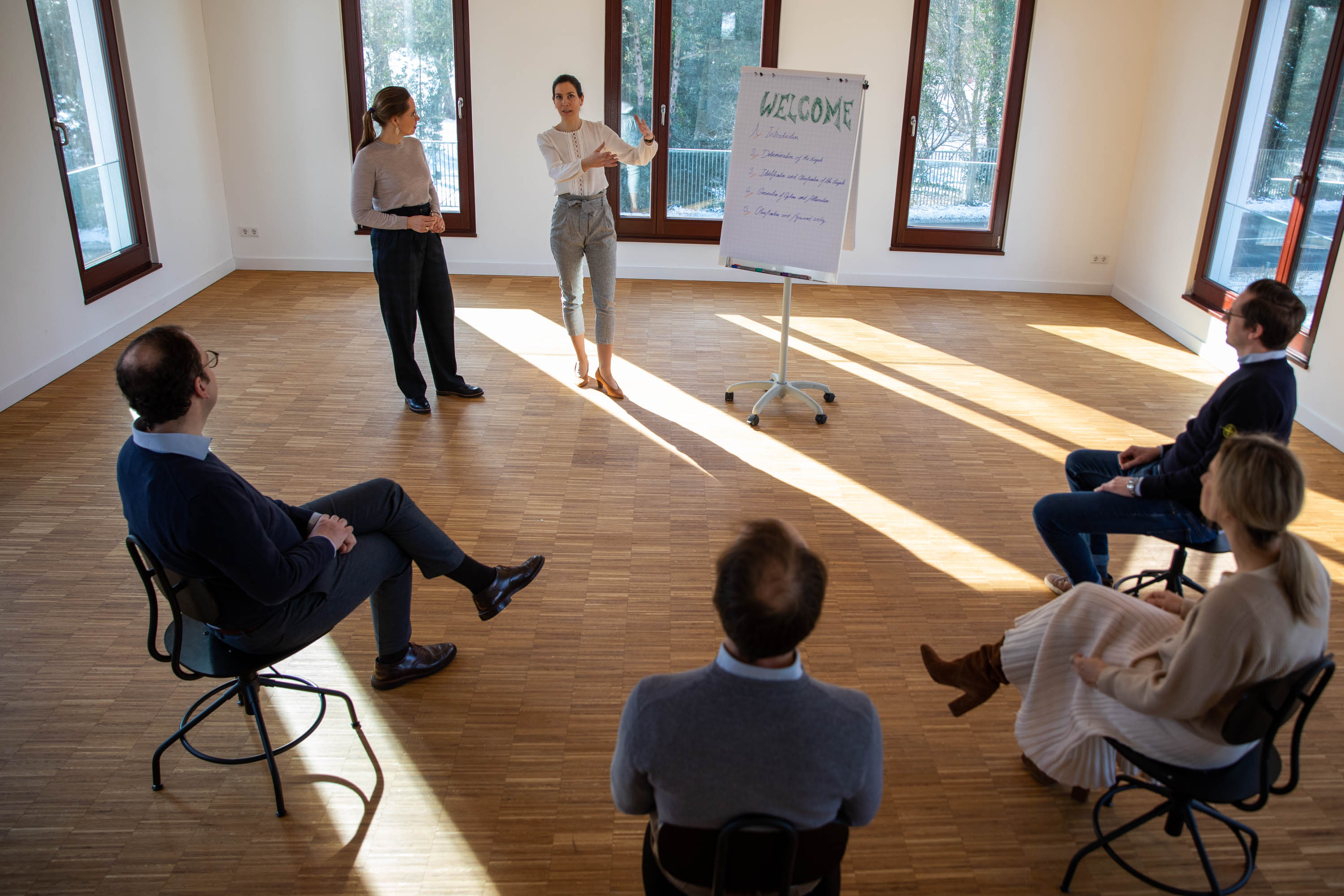 Team or group mediation in business mediation or other field of competences